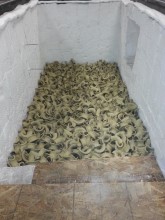 RTO Media and Maintenance